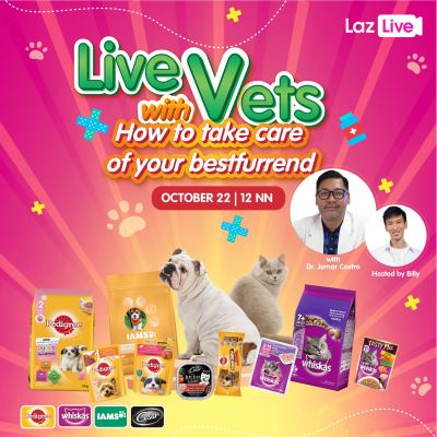 LIVE WITH VETS: How To Take Care Of Your BestFURRend
