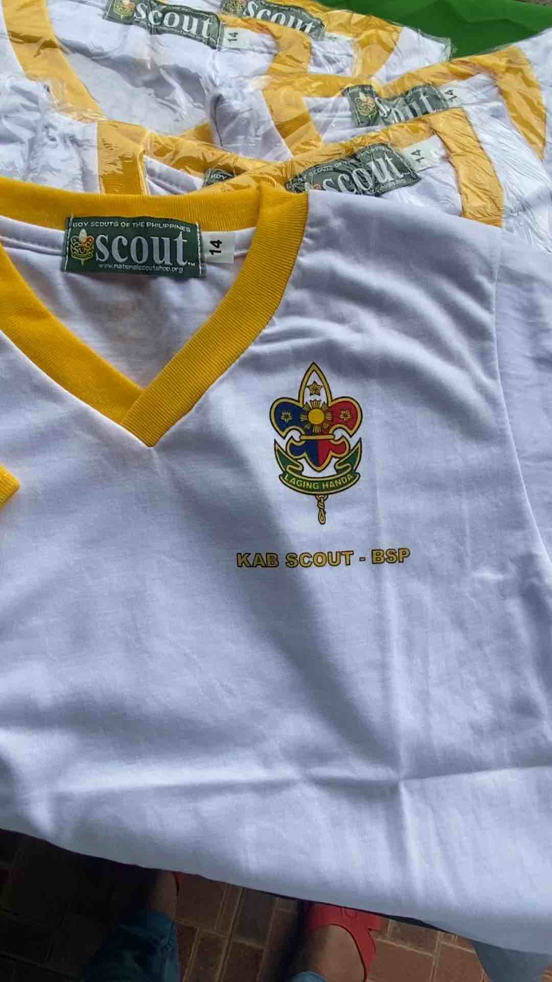 Kab Scout Of The Philippines Logo